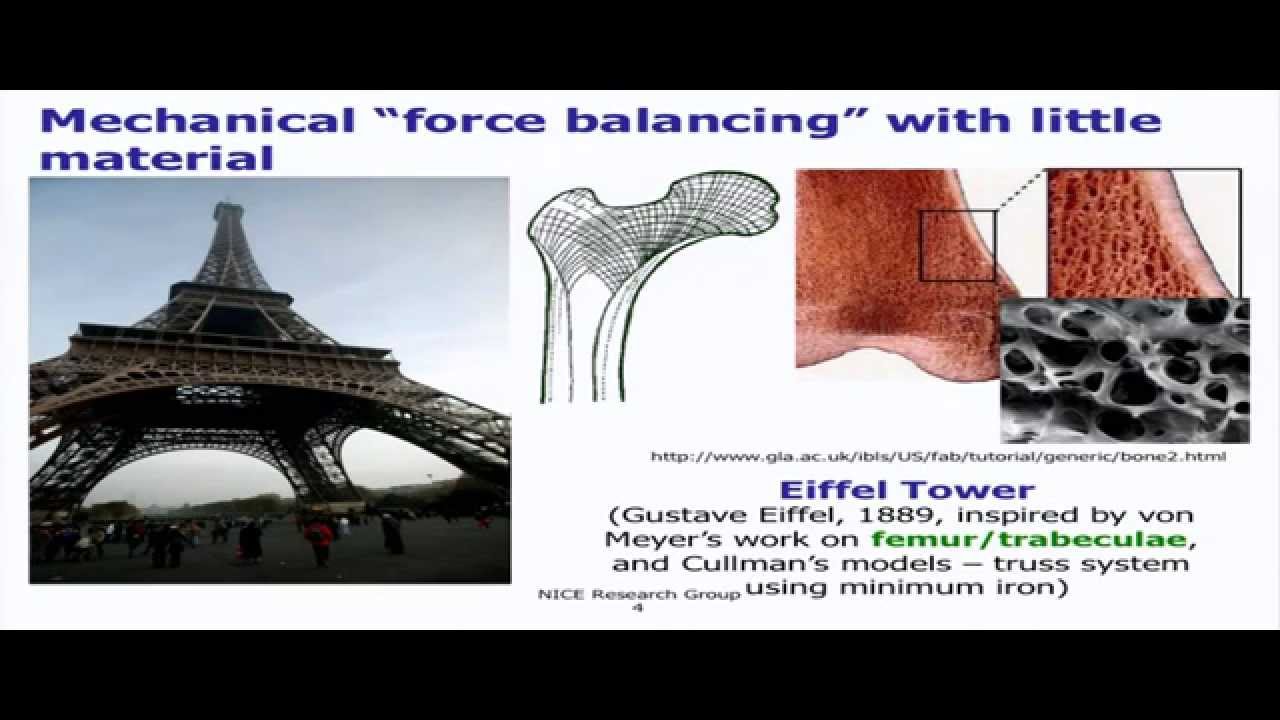 Nature-inspired chemical engineering