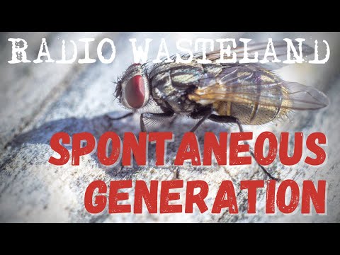 The Theory of Spontaneous Generation