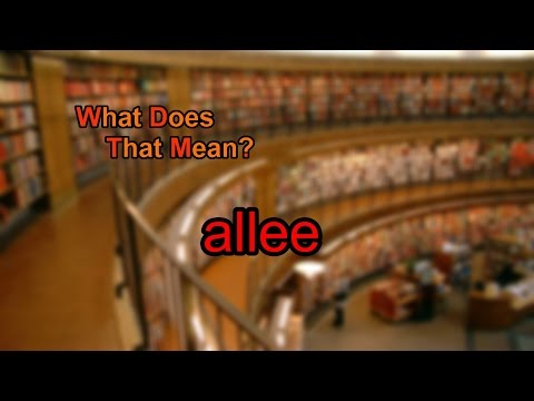 What does allee mean?