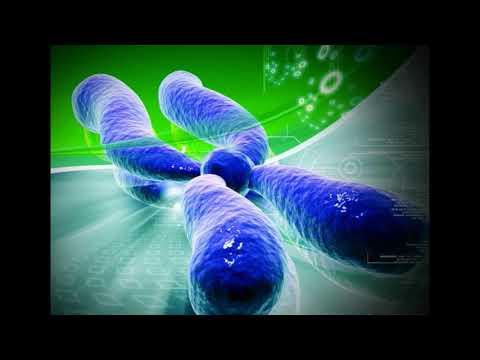 What are Alleles