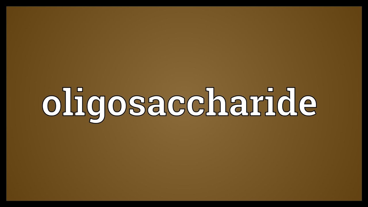 Oligosaccharide Meaning