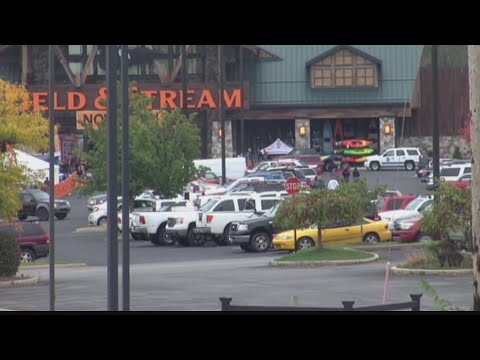 Field and Stream into Sportsmans Warehouse