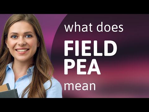 Field pea — definition of FIELD PEA