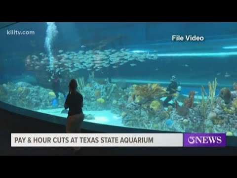 Texas State Aquarium reducing staff and salaries due to COVID-19