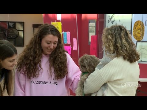 Wednesday, February 15th: Therapy Dogs in Schools