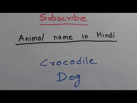 Crocodile name in hindi, Dog name in hindi