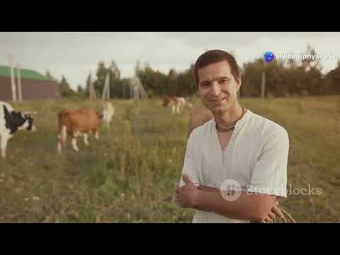 Two Cows : Communism, Socialism & Capitalism explained