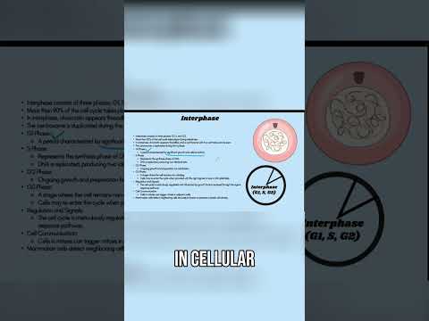Unlock Cell Secrets: G1, S, G2 Phases Explained Simply!