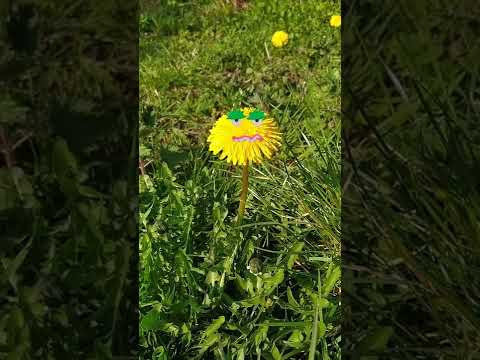 Poem of the Dandelion #short #kidspoem