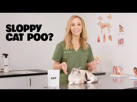 Dr Lisa's soluble cat fibre adds bulk to the poop and improves its consistency.