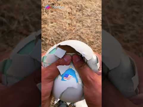 egg hunt the new plotagon 2011