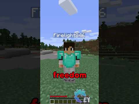 Different Types Of Servers in Minecraft!