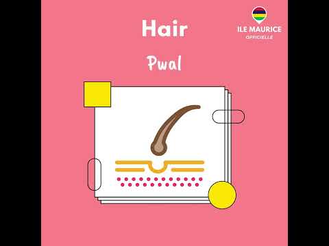 How to say "The Hair" in Mauritian Creole (Mauritius Island)
