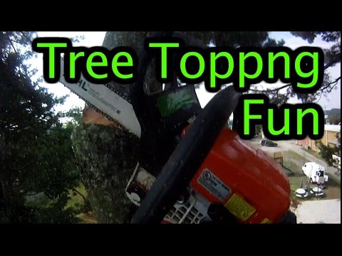 Tree Topping Fun