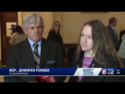 Republicans propose competing measure to red flag law referendum