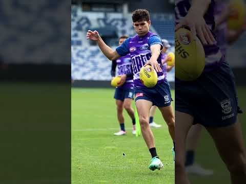 DITL | Digital Team Edition #geelongcats #shorts