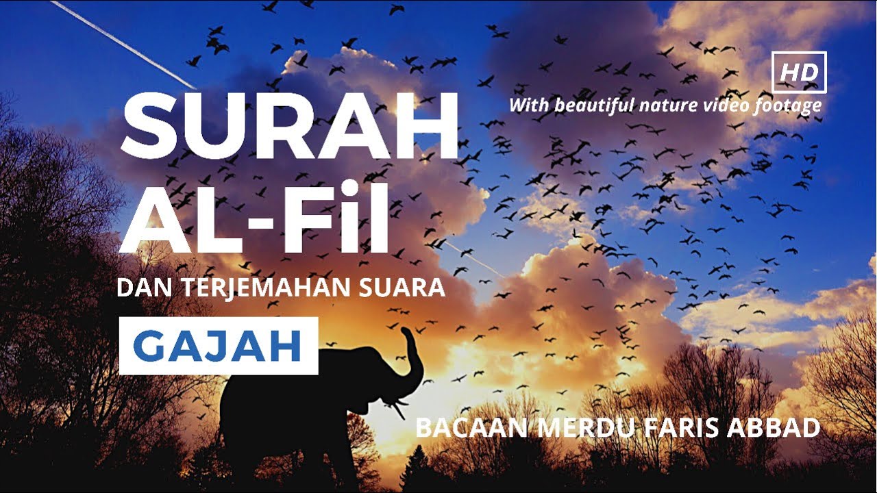 Surah Al Fil Rumi Terjemahan Suara dan Prakata Malay Indonesia