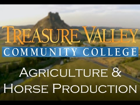 Treasure Valley Community College Equine Program – Training Quality ...