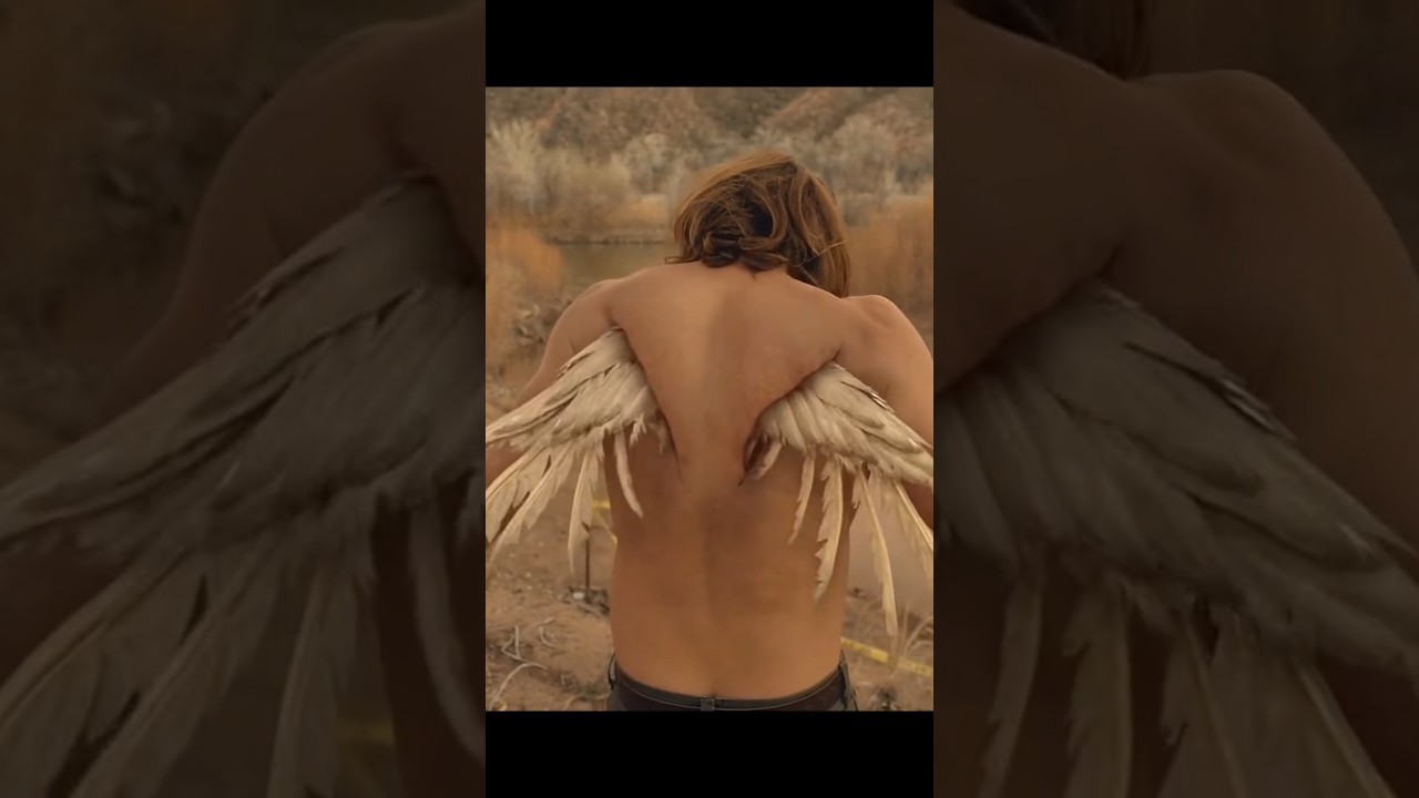 Angel wings 😱 WTF | Clips | #film #clips #movie #marvel #angel #hollywood #marvelstudios #shorts