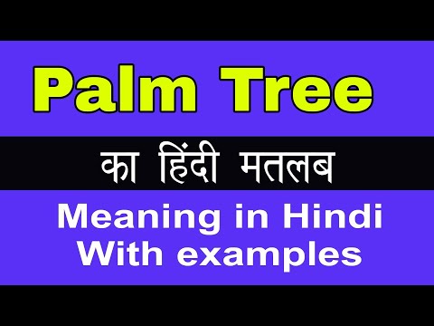 Palm Tree Meaning in Hindi/Palm Tree का अर्थ या मतलब क्या होता है.