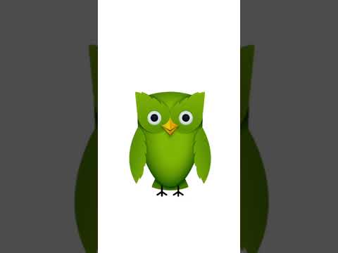 Evolution of Duolingo ~ Flipaclip #shorts