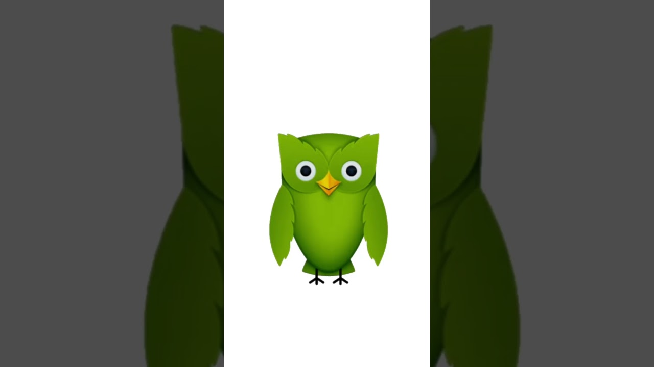 Evolution of Duolingo ~ Flipaclip #shorts