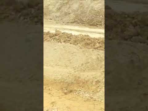 Tiger In Piparwar Area Mines.