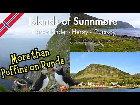 Runde and the Islands of Sunnmøre : More Than Just Puffins!