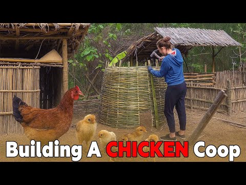 Built a Chicken Coop From Scratch Using Bamboo | Rural Life DIY