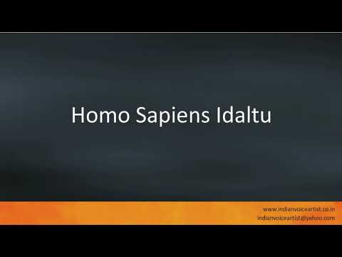 Pronunciation of the word(s) "Homo Sapiens Idaltu".