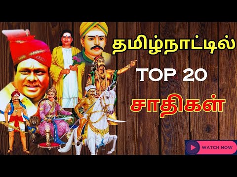 Top 10 தமிழ்நாட்டில் ஜாதி வாரியாக மக்கள் தொகை | caste wise population in tamilnadu