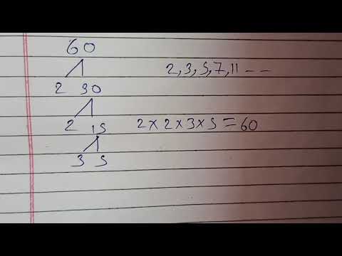 factor tree of 60