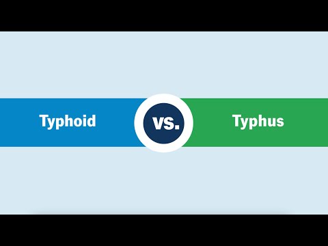 Typhoid vs. Typhus: What’s the Difference?