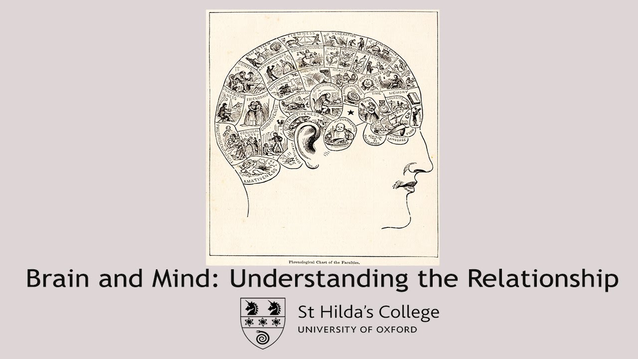 Brain and Mind: Understanding the Relationship
