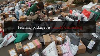 "I Shake The Package To Check If It's Mine": A Study of Package ...