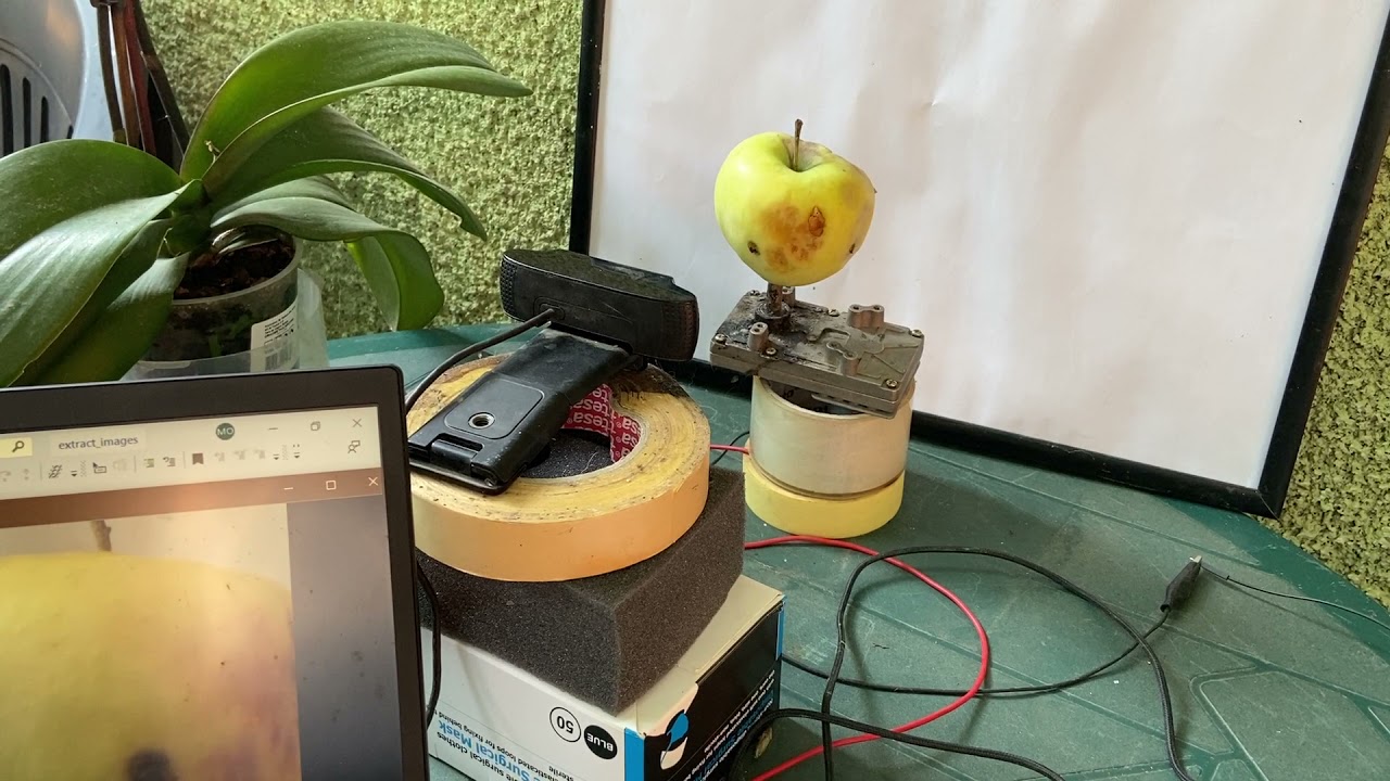 Filming for Fruits 360 dataset