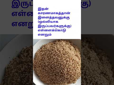 Meaning of Tamil Palamoligal | Ellum kollum|Tamil Palamoligal’s True Meaning