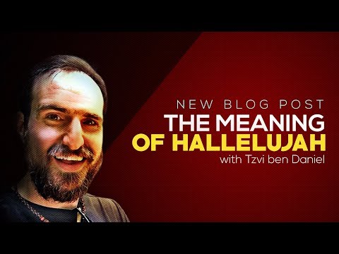 What Does Hallelujah Mean? - with Tzvi ben Daniel