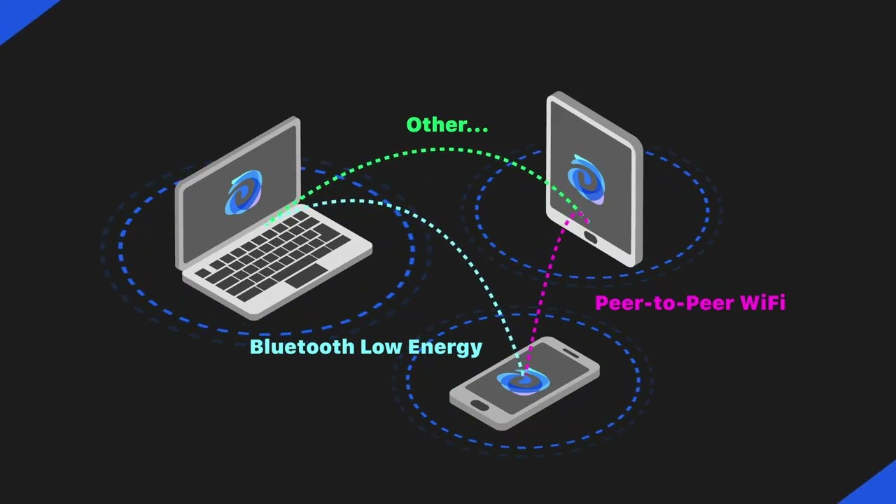 Ditto Quick Overview 2021