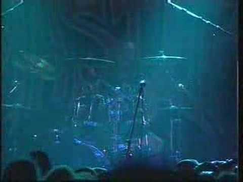 Master- Speckmann All We've Become