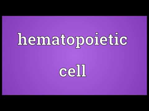Hematopoietic cell Meaning | Wordogram