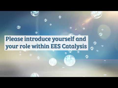 Shizhang Qiao on EES Catalysis