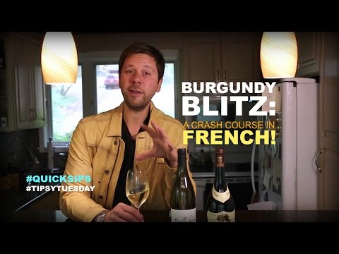French Burgundy Wines 101