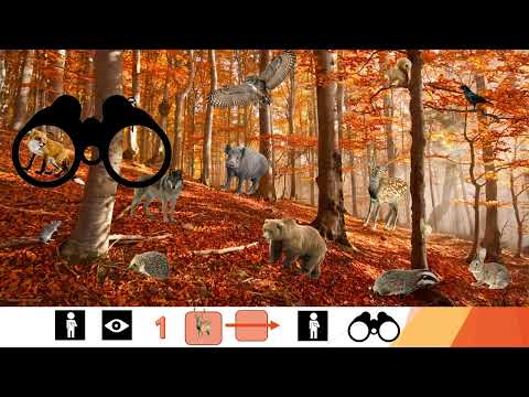 HERFST - Zoek de dieren - woordenschat, zinsbouw en visuele gerichtheid (details zoeken)