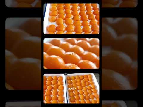 2025 canned apricot season ends successfully #canned #cannedfood #fruit #apricots #yummy