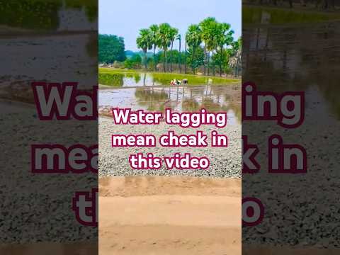 Water logging area kya hai । what is water loging in construction site ।#waterlogging #irrigation