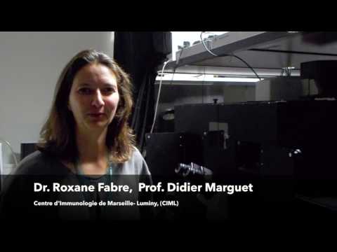 Dr. Roxane Fabre Discussion - CIML