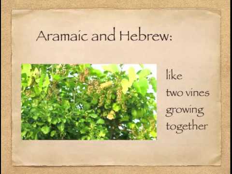What is Biblical Aramaic?