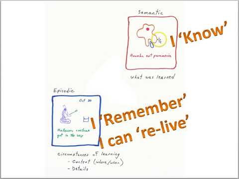 Memory: Episodic and Semantic memory