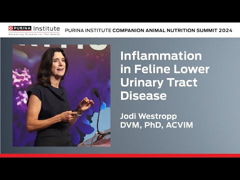 Inflammation in Feline Lower Urinary Tract Disease - Jodi Westropp, DVM, PhD, ACVIM